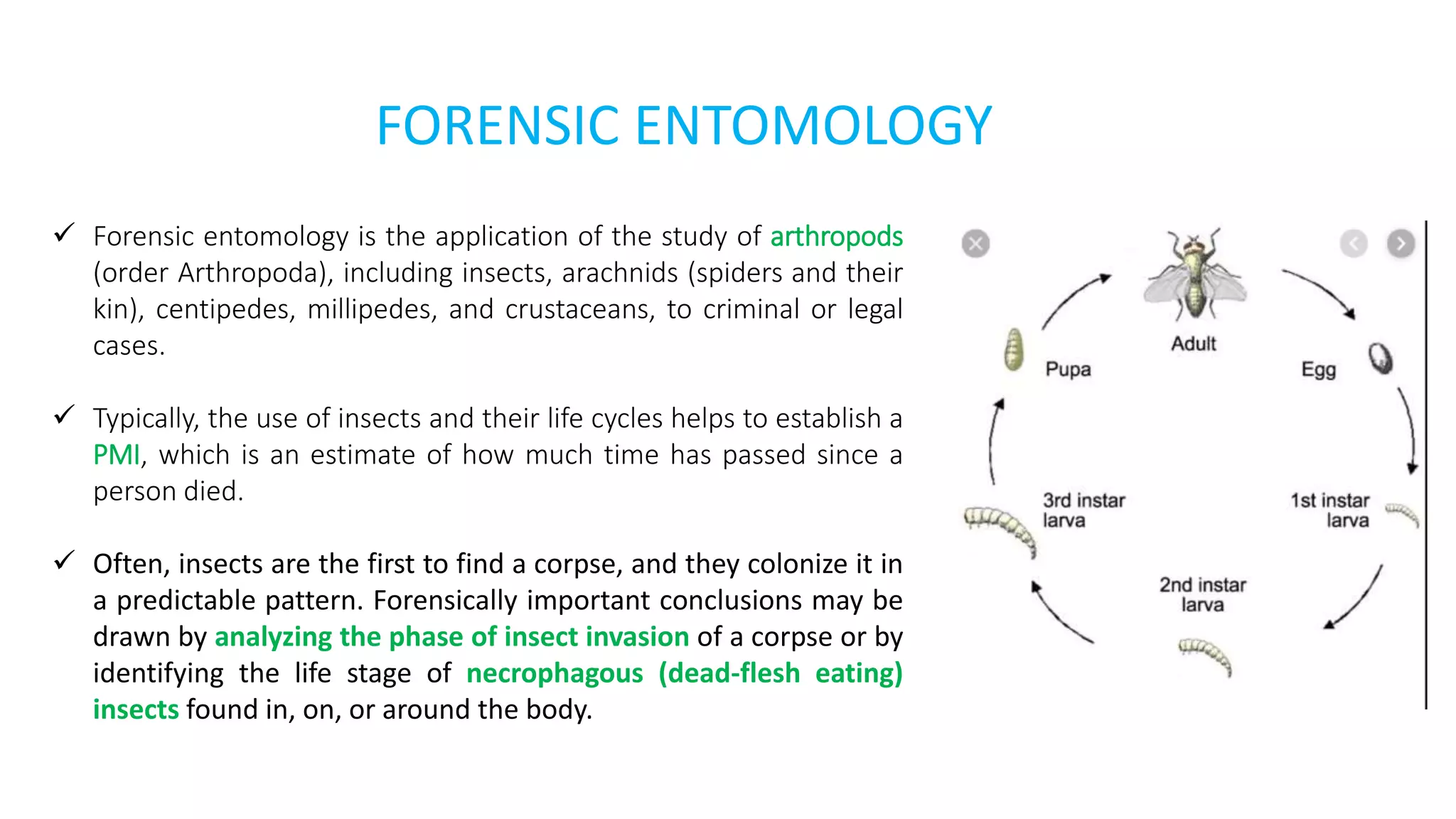 Forensic Serology_UNIT 3_Forensic entomology.pptx