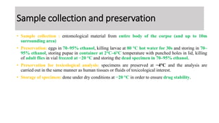 Forensic Serology_UNIT 3_Forensic entomology.pptx