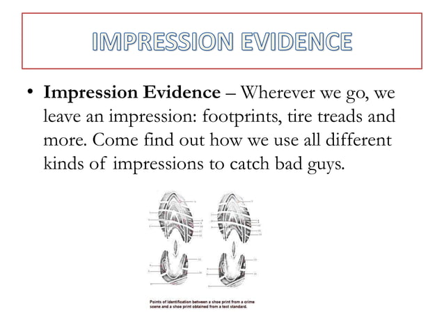 Forensics for kids | PPTX | Science