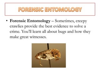 Forensics for kids | PPTX
