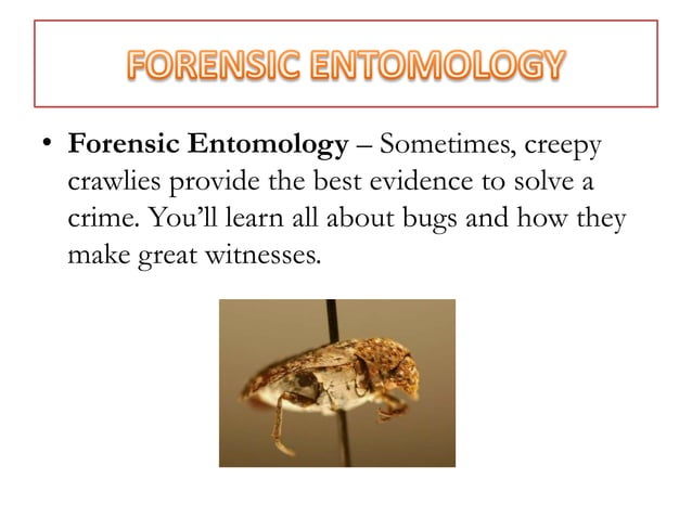 Forensics for kids | PPTX | Science