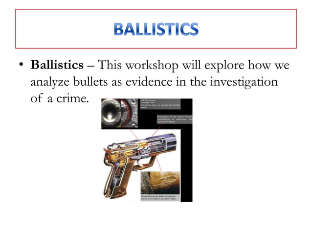 Forensics for kids | PPTX | Science