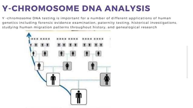 Forensic Significance Of Dna Profiling Pdf