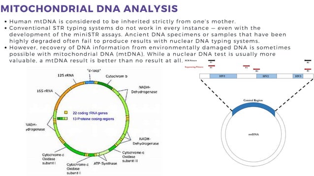 Forensic significance of dna profiling | PDF