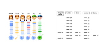 Forensic significance of dna profiling | PDF