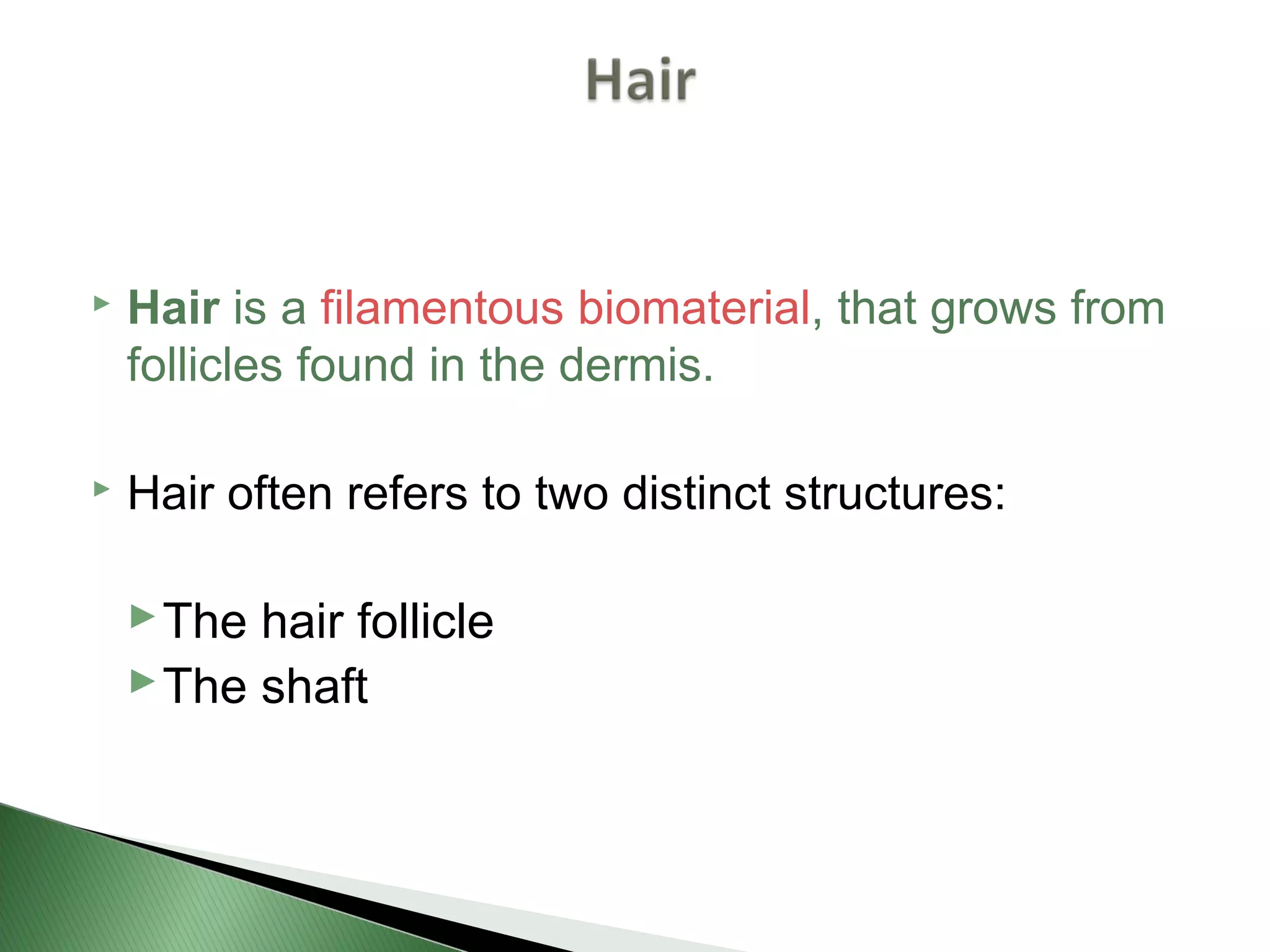 Forensics of hair analysis | PPT