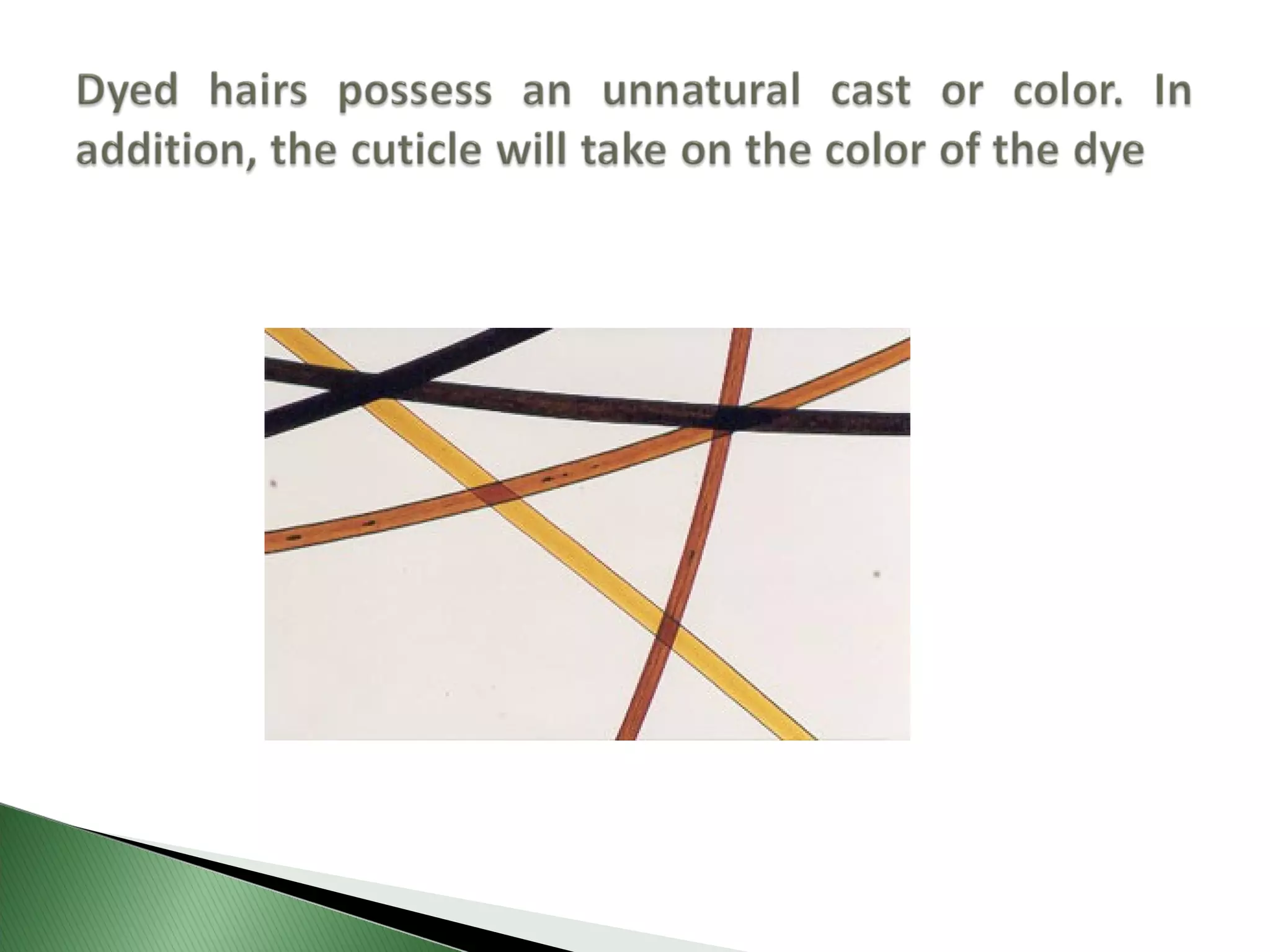 Forensics of hair analysis | PPT