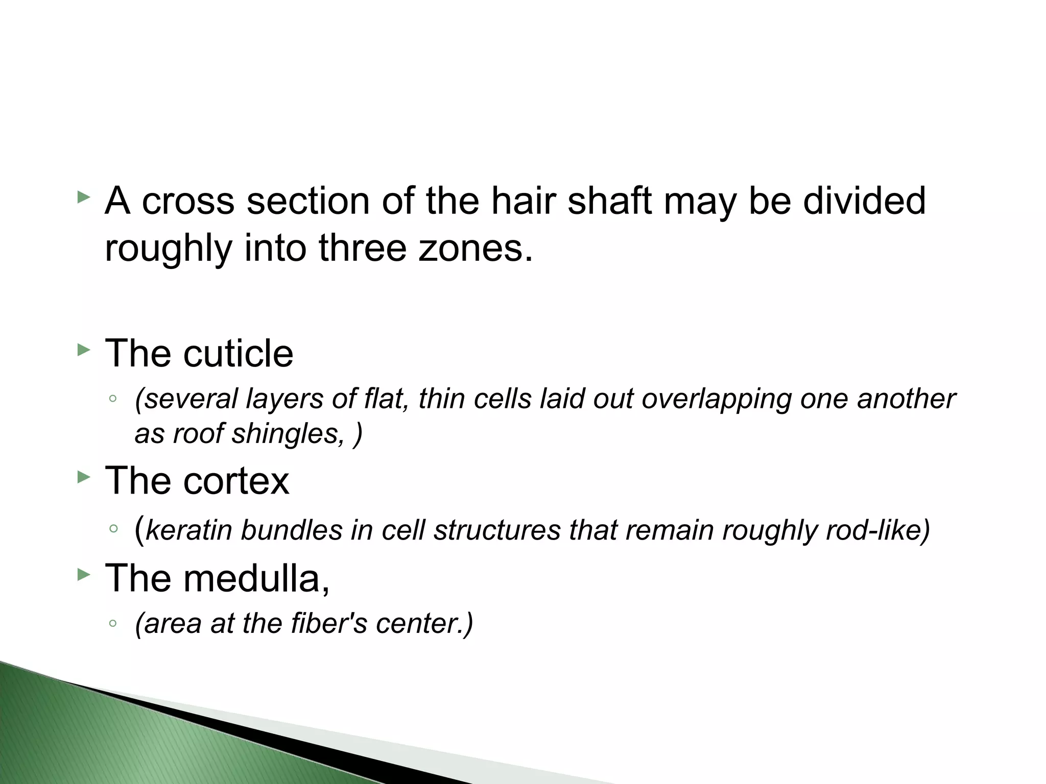 Forensics of hair analysis | PPT