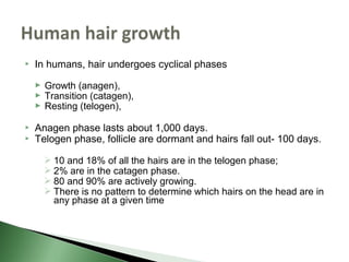 Forensics of hair analysis | PPT