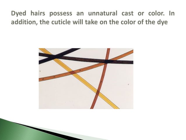 Forensics of hair analysis | PPT | Hair Care | Beauty