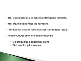 Forensics of hair analysis | PPT