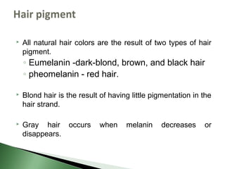 Forensics of hair analysis | PPT