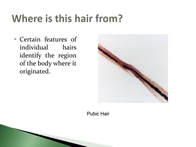 Forensics of hair analysis