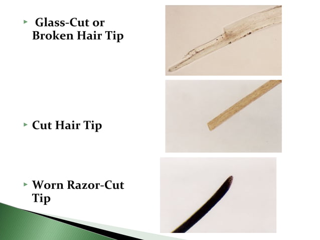 Forensics of hair analysis
