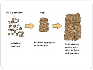 Forensics of soil complete | PPT