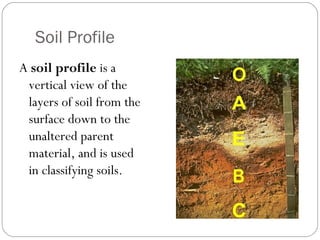 Forensics of soil complete | PPT