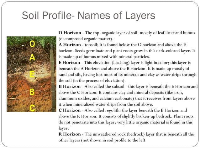 Forensics of soil complete | PPT