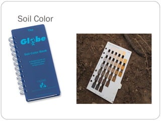 Forensics of soil complete | PPT