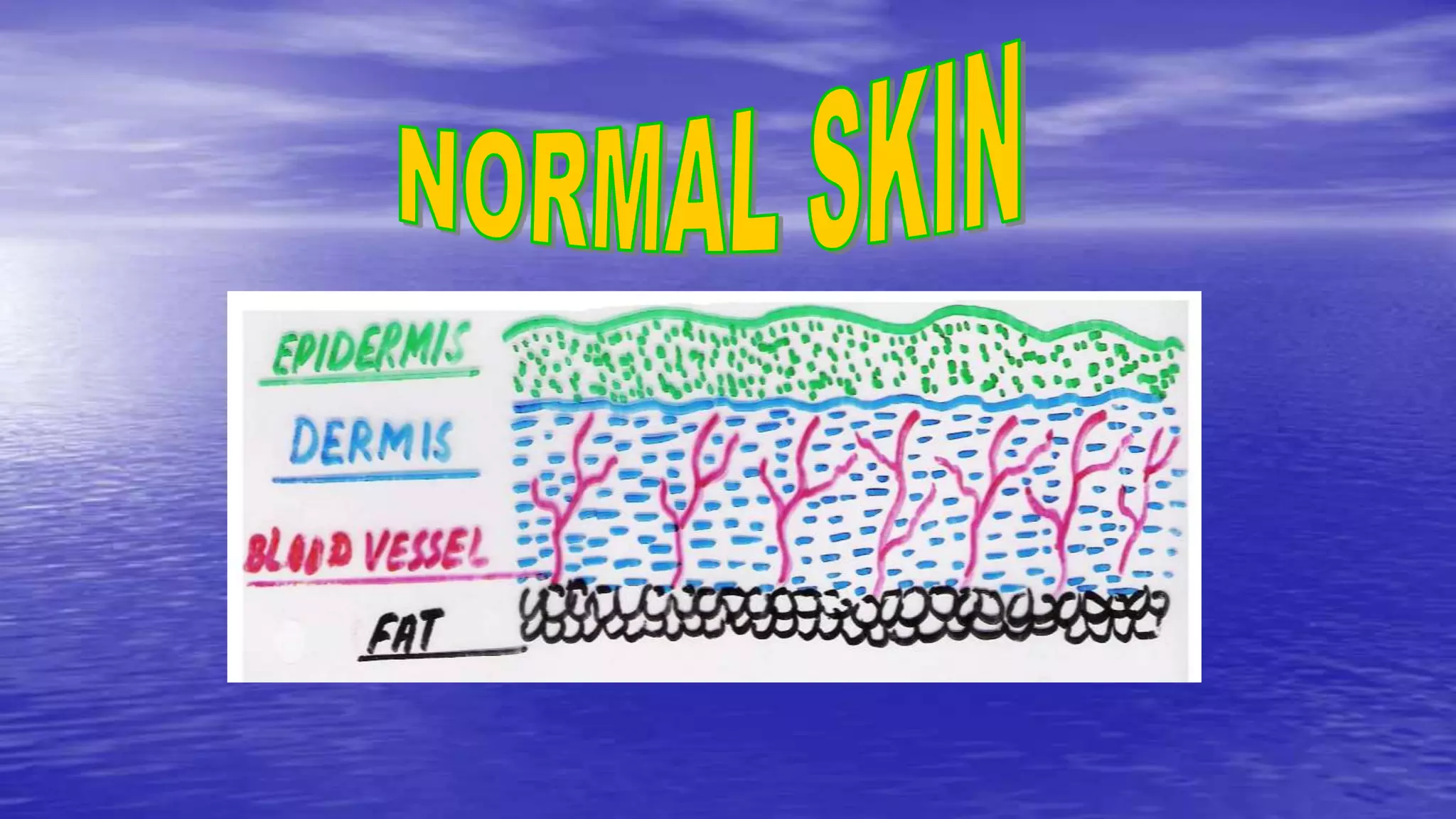 [Forensics] traumatology 1 | PPTX