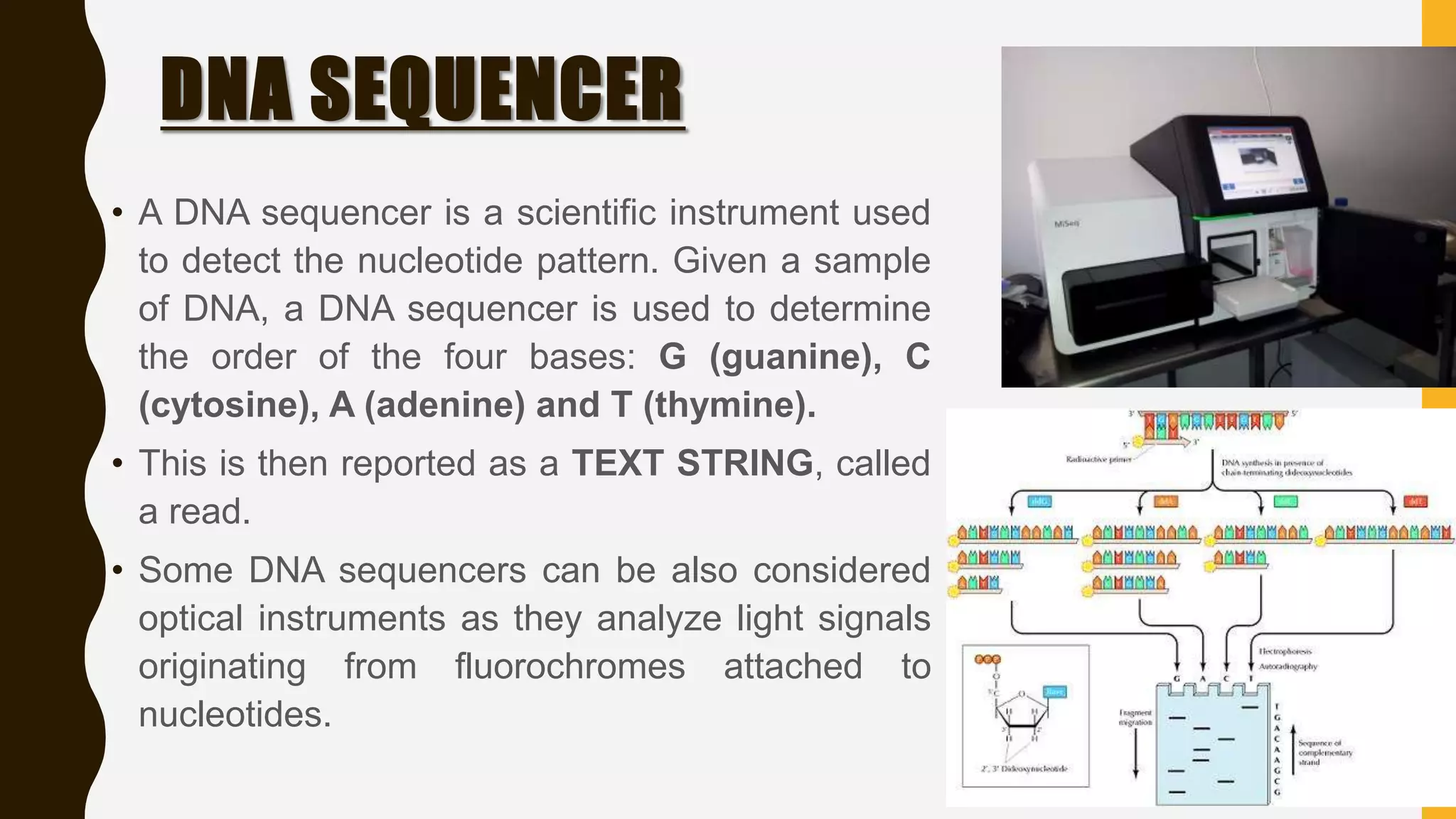 Forensic techniques and crime scene investigation | PPTX