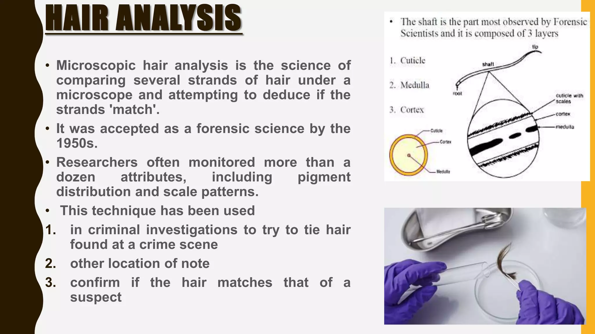 Forensic techniques and crime scene investigation | PPTX