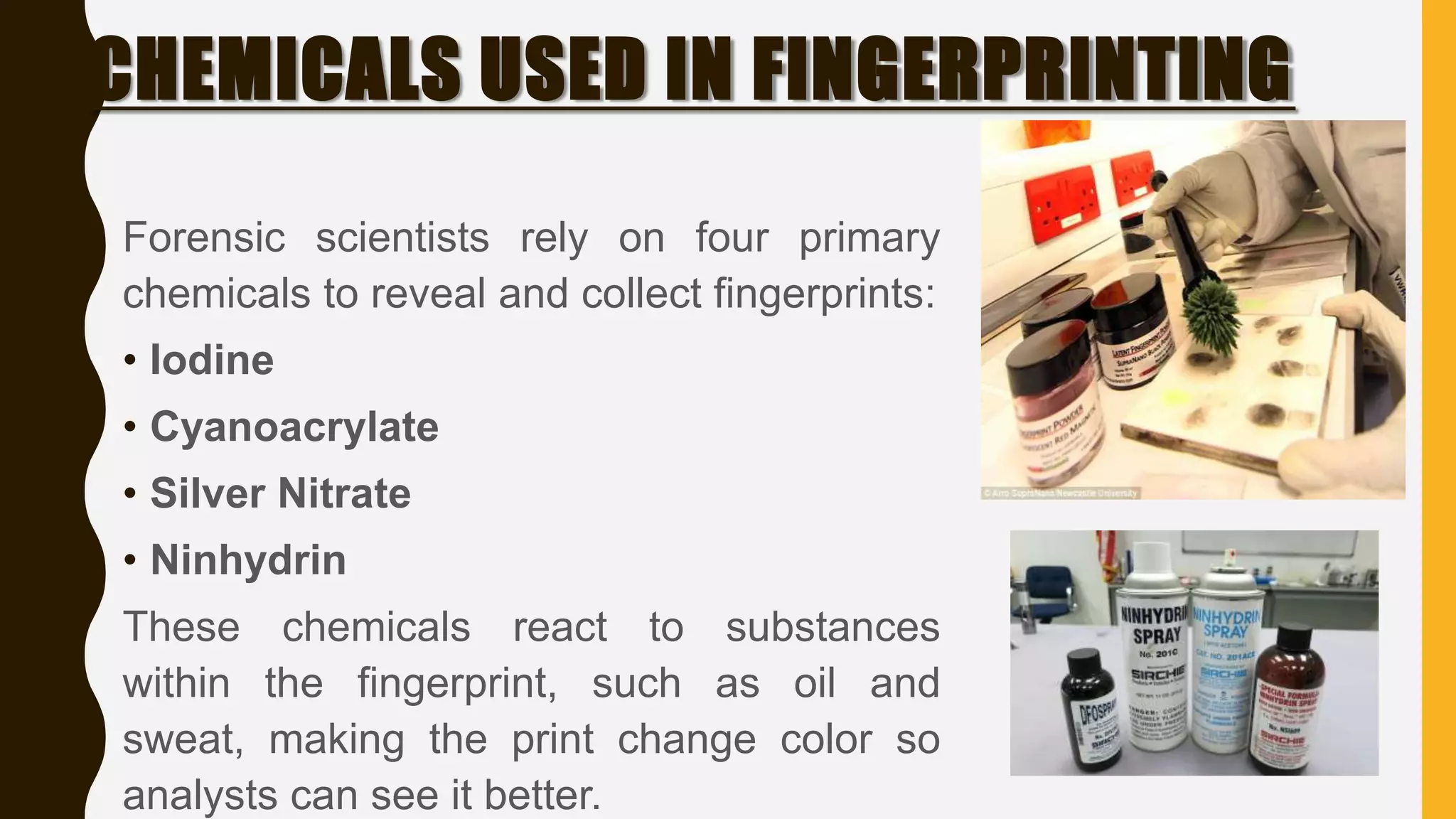 Forensic techniques and crime scene investigation | PPTX