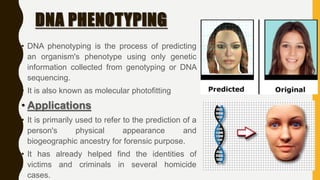 Forensic techniques and crime scene investigation | PPTX