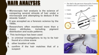 Forensic techniques and crime scene investigation | PPTX