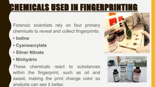 Forensic techniques and crime scene investigation | PPTX