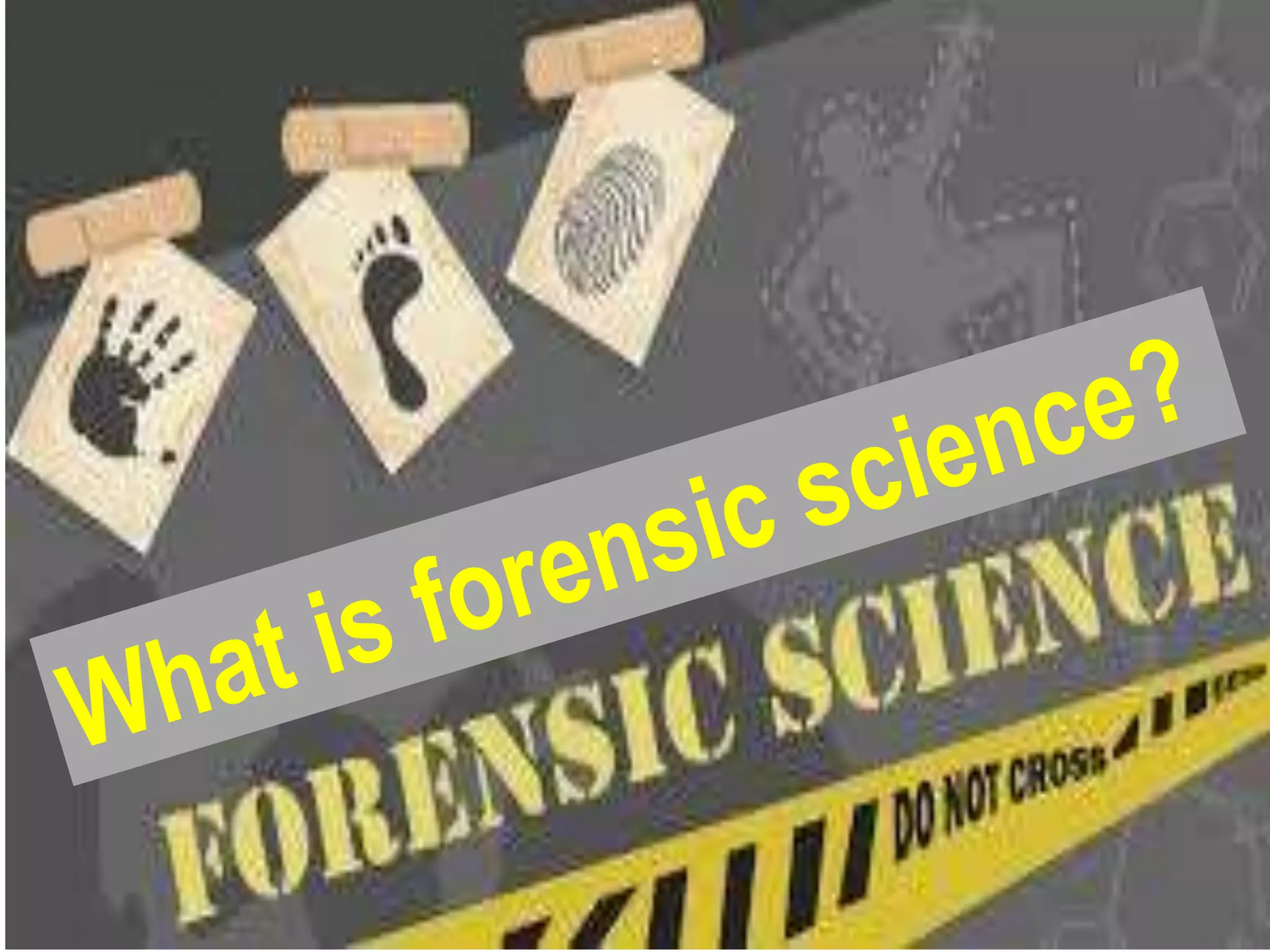 Forensic Testing.pptx