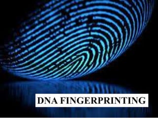 Forensic Testing.pptx
