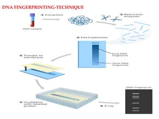 Forensic Testing.pptx