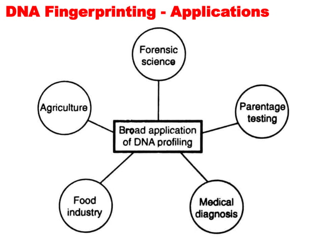 Forensic Testing.pptx | Free Download