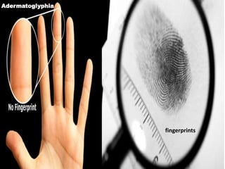 Forensic Testing.pptx