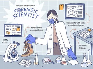 Forensic Testing.pptx