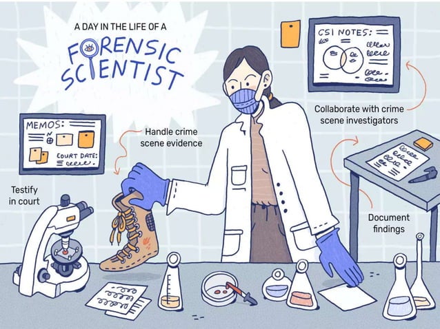 Forensic Testing.pptx | Free Download