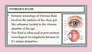 Forensic toxicology Vitreous fluid and hair.pptx
