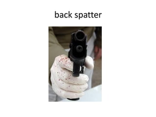 Forensic visuals quiz | PDF