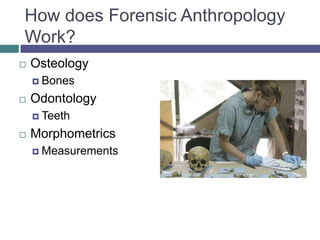 Forensic week 1 | PPTX