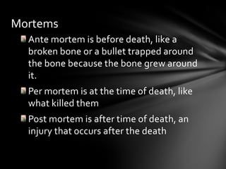 Forensic Week Skeletons slideshare | PPTX | Bone and Joint Conditions ...