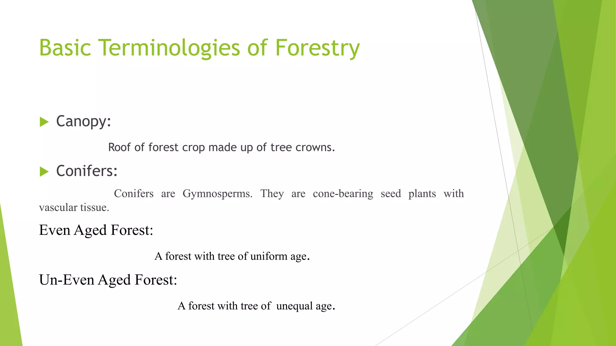 Forestry | PPTX