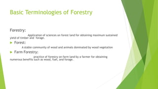 Forestry | PPTX