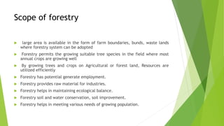 Forestry | PPTX