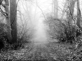 Foreshortening | PPTX