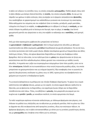 Η παραδοσιακή φορεσιά της Ερυθραίας - Μικράς Ασίας | PDF