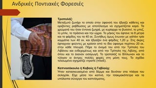 Παραδοσιακές ποντιακές φορεσιές | PPT