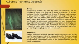 Παραδοσιακές ποντιακές φορεσιές | PPT