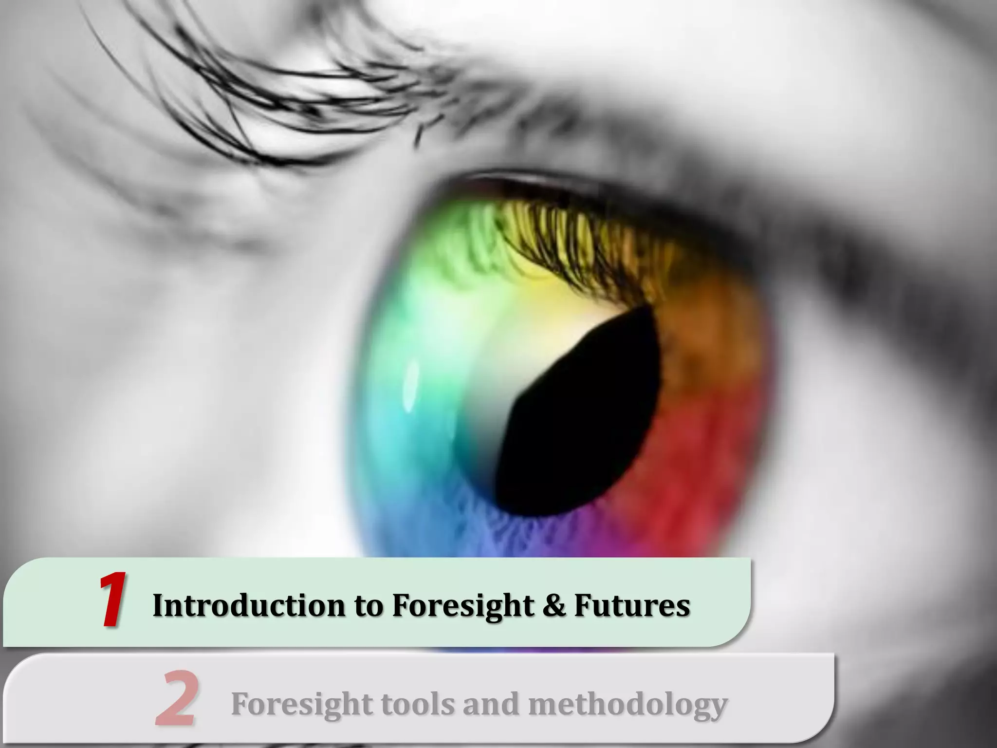 Foresight General Concept & Methodology | PDF