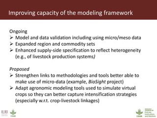 Foresight modeling to guide sustainable intensification of smallholder systems by Dr. Dolapo ...