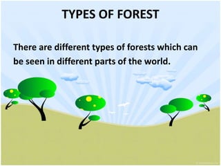 Forest | PPT